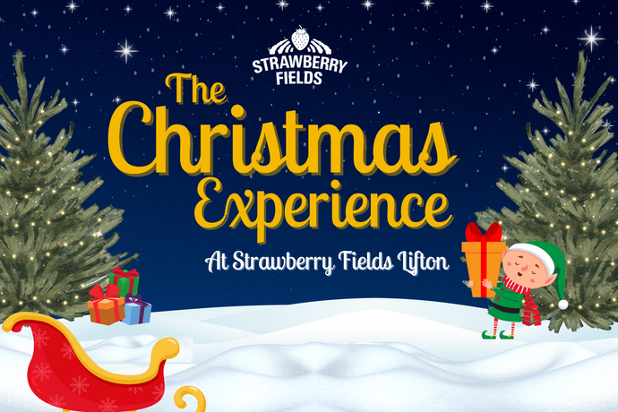 Strawberry Fields Lifton Farm Shop – Strawberry Fields Farm Shop