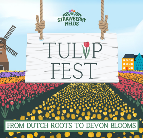 Strawberry Fields at Tithebarn Exeter – Strawberry Fields Farm Shop