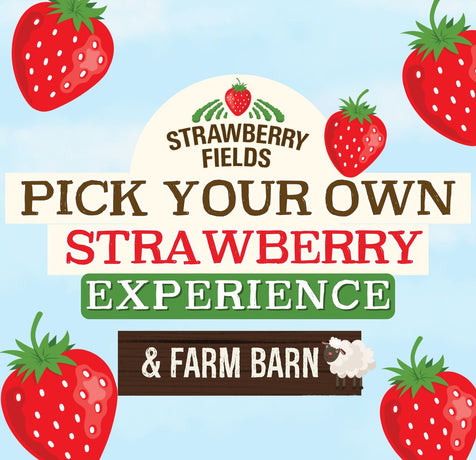 Strawberry Fields Lifton Farm Shop – Strawberry Fields Farm Shop